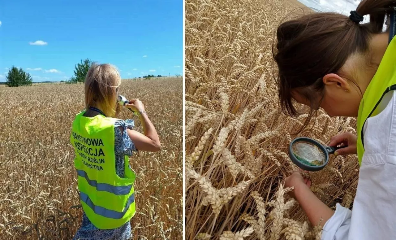 Zmiany w badaniach sprawności opryskiwaczy